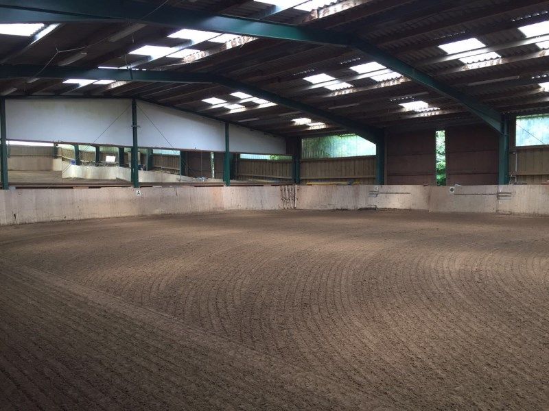 Reitstall Kiesling - Galerie